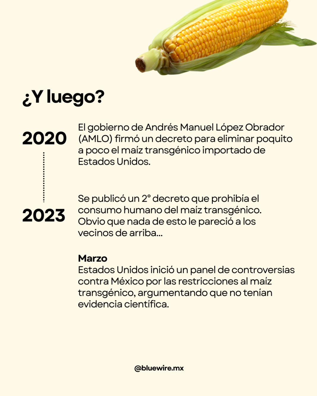 El maíz transgénico: del campo mexicano al conflicto internacional ...